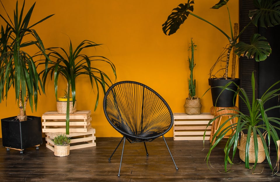 Come si abbina il giallo ocra? - Vernici Rio Verde