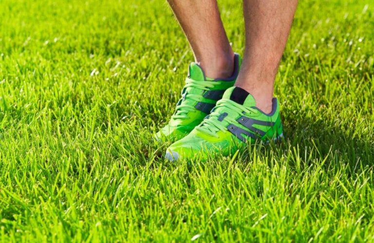 ¿Qué es el «brat green» y por qué fue el color del verano? - Vernici ...